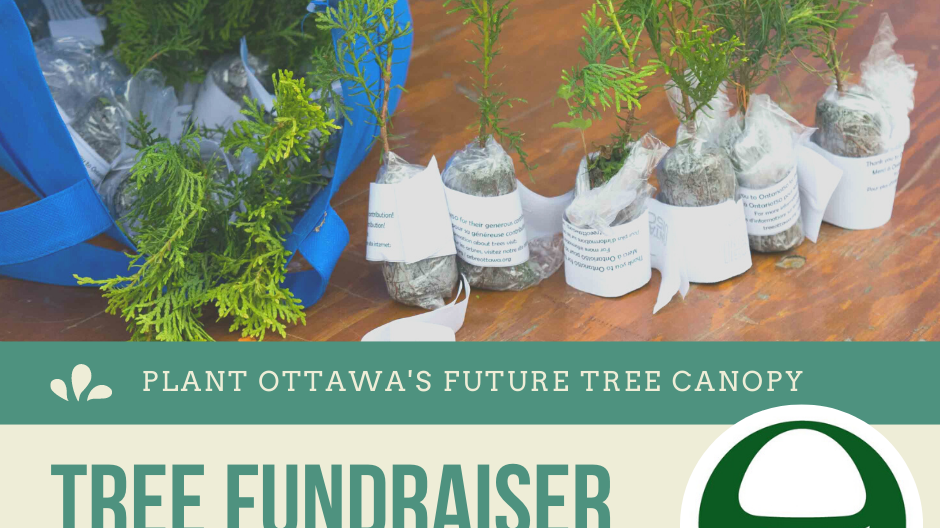 Tree Fundraiser 2020